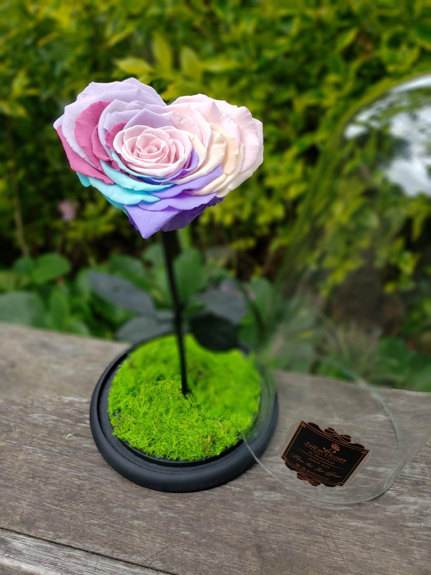 Rosas corazón - Julem Roses